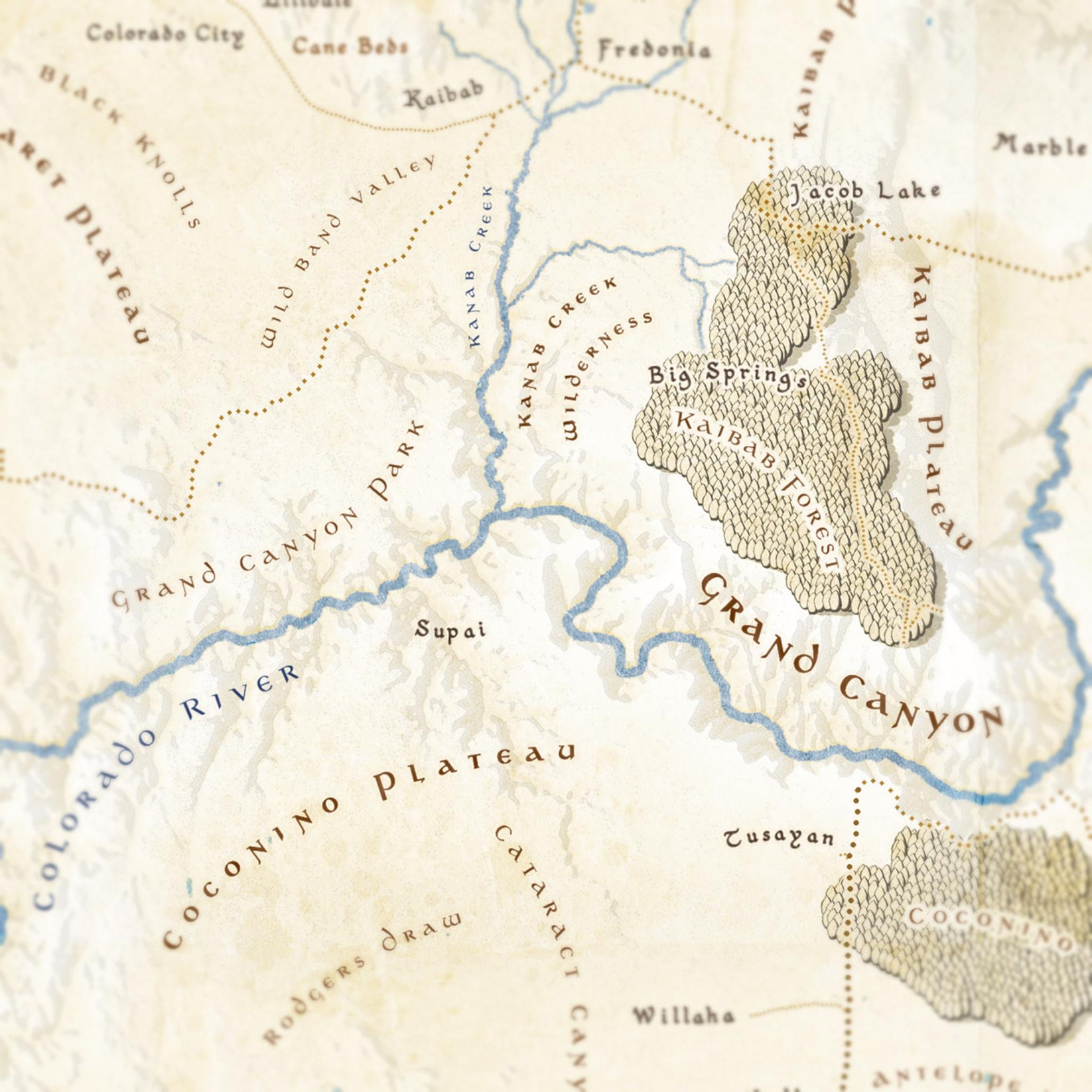 Arizona Fantasy Map Print – Maps of the Wild